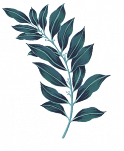 Xibal Ak'bal - Xibal Gin