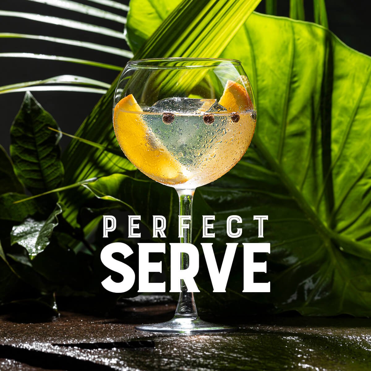 Perfect serve - Xibal Gin