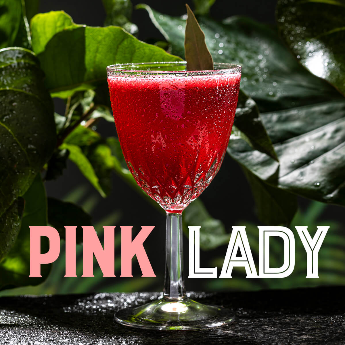 Pink Lady - Xibal Gin