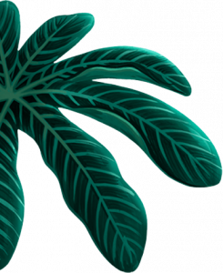 Xibal Ak'bal - Xibal Gin