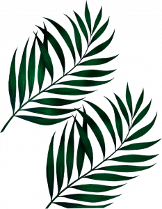 Xibal Ak'bal - Xibal Gin