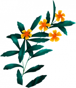 Xibal Ak'bal - Xibal Gin