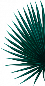 Xibal Ak'bal - Xibal Gin