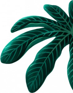 Xibal Ak'bal - Xibal Gin