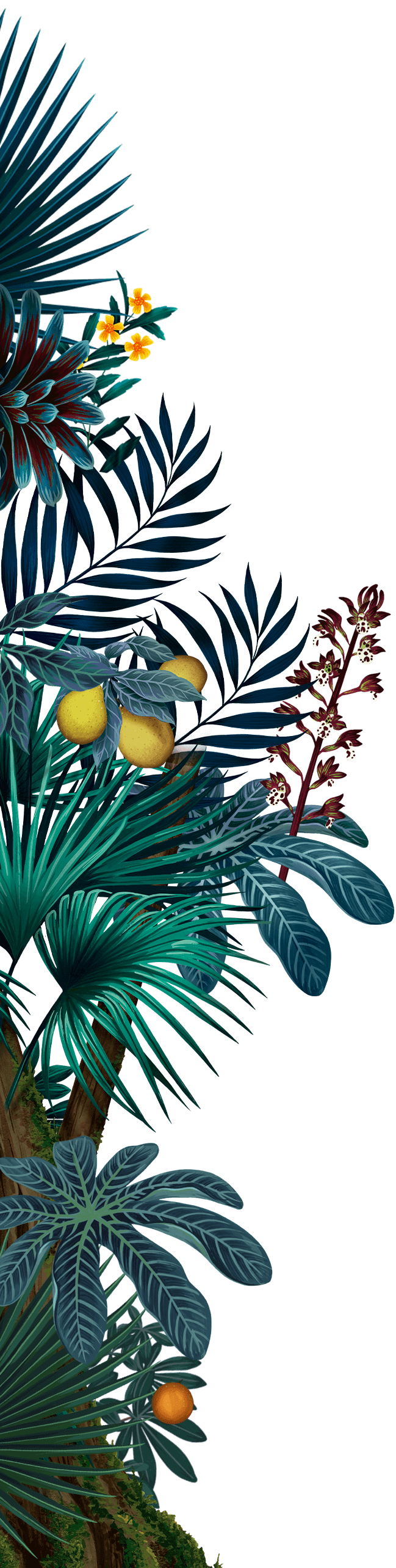 Xibal Equinox - Xibal Gin