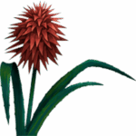 Xibal Ak'bal - Xibal Gin