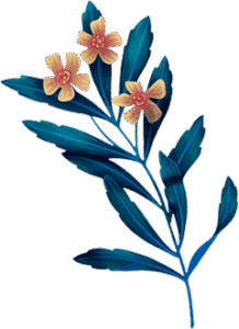 Xibal Ak'bal - Xibal Gin