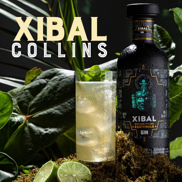 Cocktails – Xibal Gin