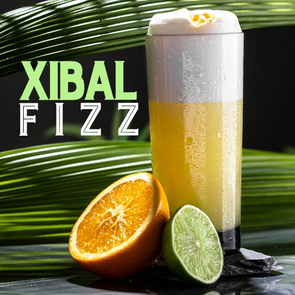 Cocktails – Xibal Gin